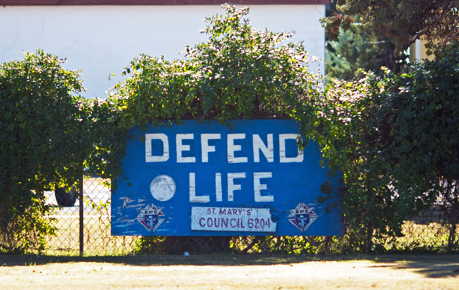 Defend Life against the World | ALL